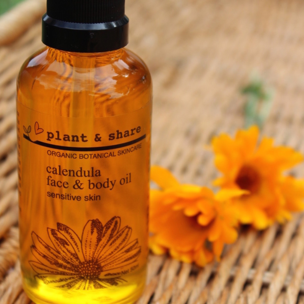 calendula face & body oil square - Plant and Share