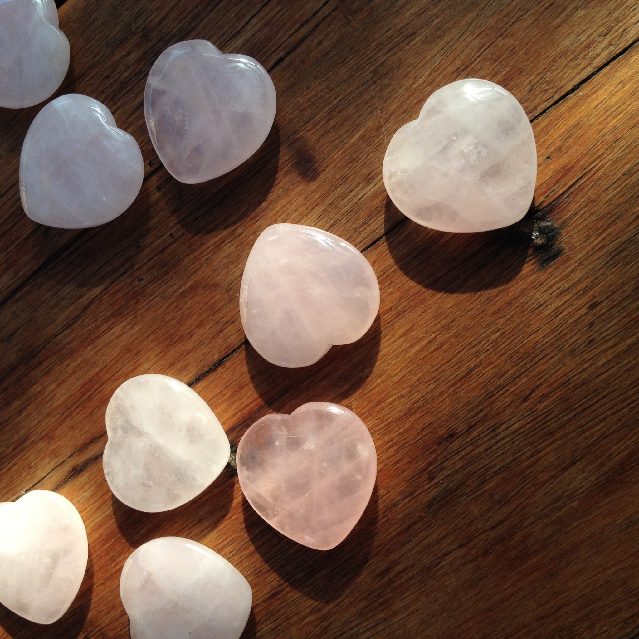 rose quartz - Plant and Share