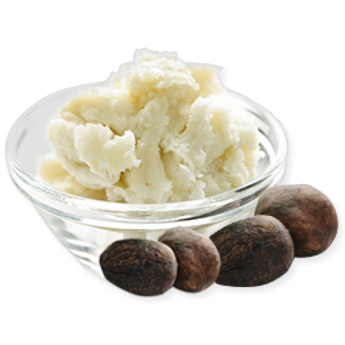 shea-butter-500x500 - Plant and Share