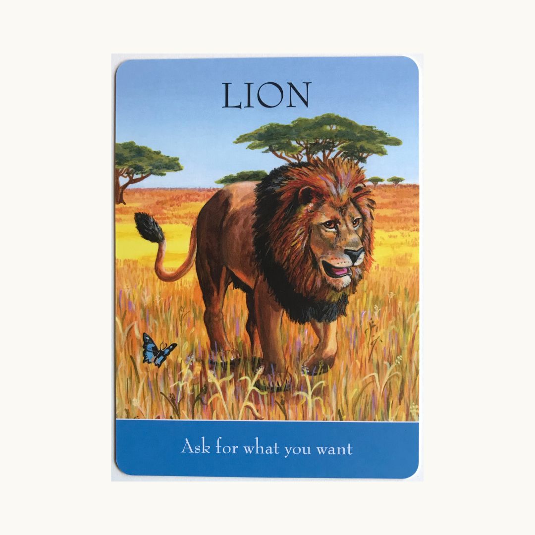Children’s Spirit Animal Cards by Dr Steve Farmer - Plant and Share