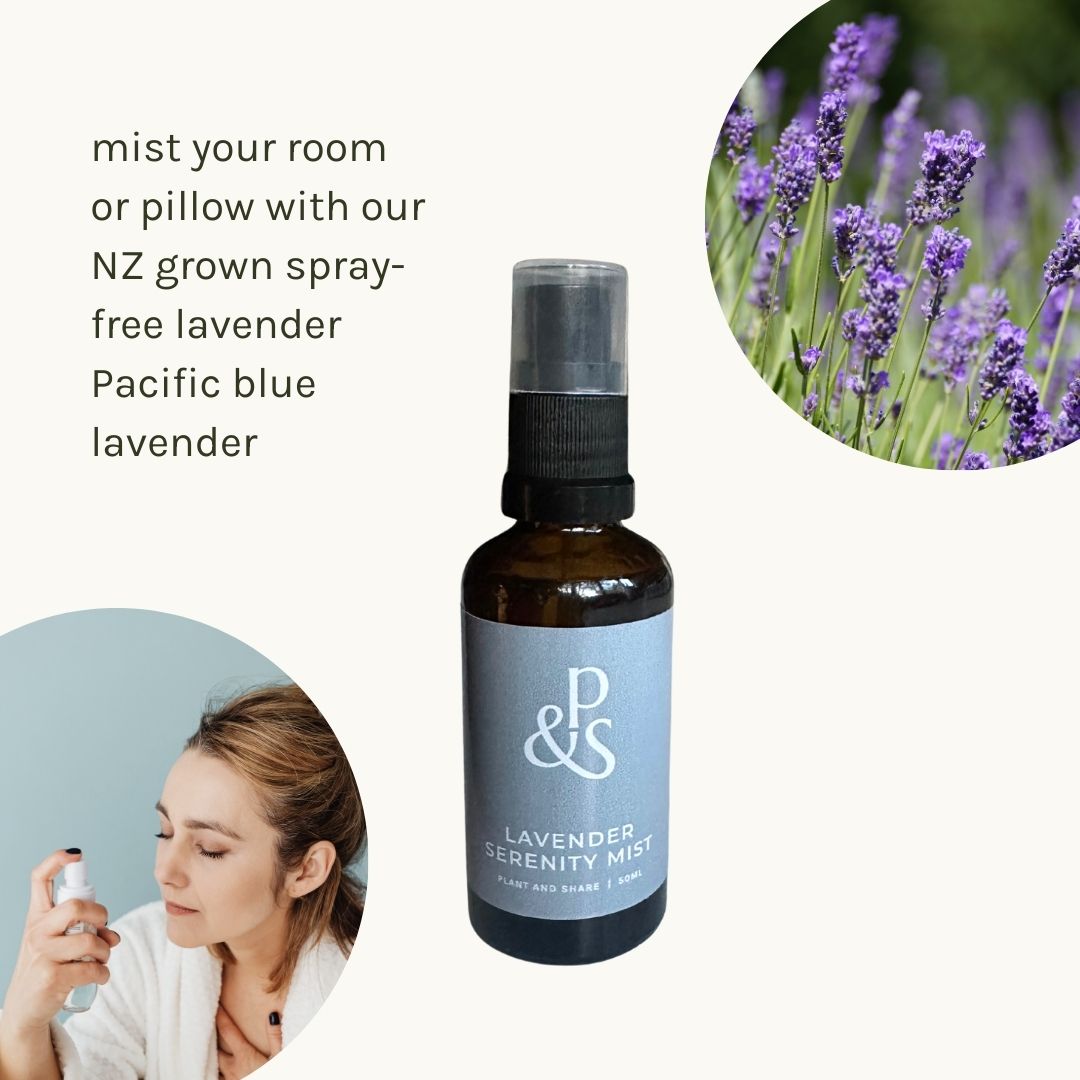 Lavender Serenity Mist - Plant and Share